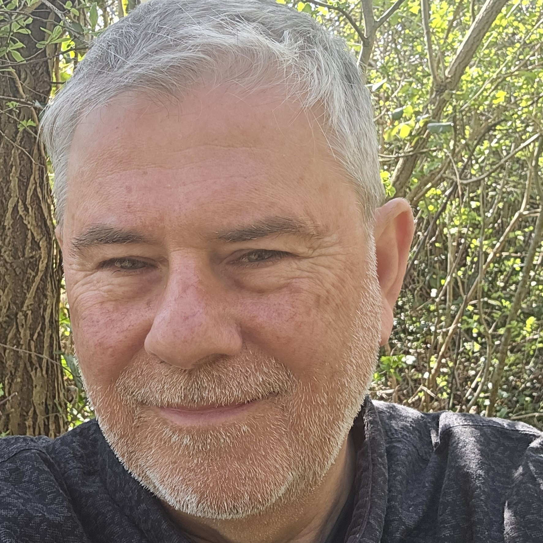 Why woodland edge matters – Forestry Commission