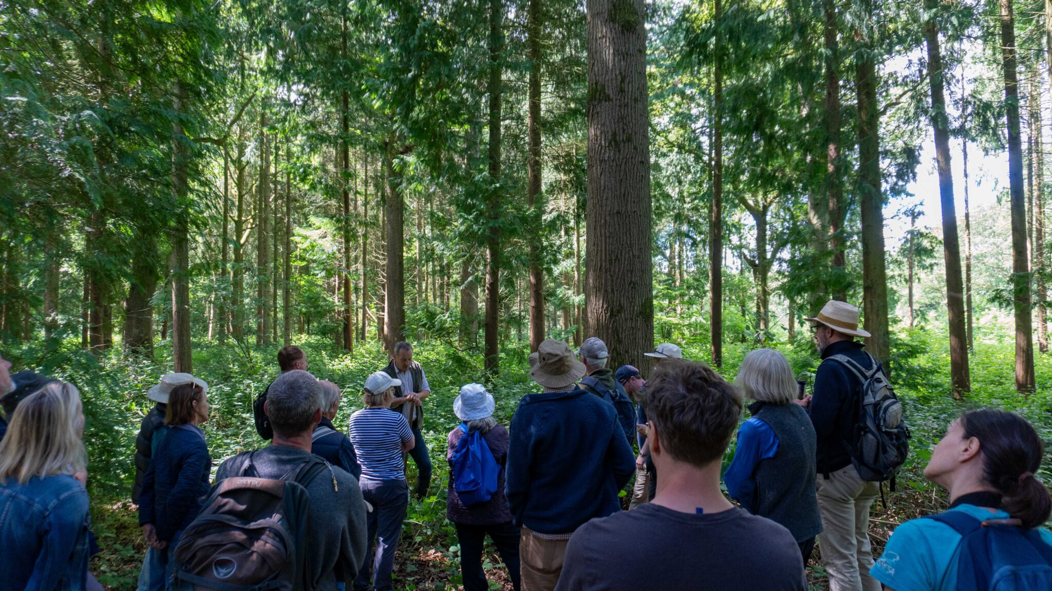 How Woodland Heritage is building a thriving UK wood culture – Forestry ...