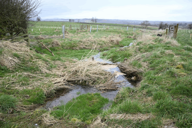 Diversifying land use with timber production at the Lowther Estate ...