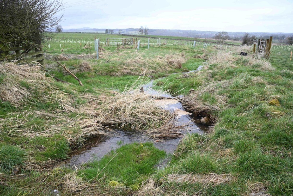 Diversifying land use with timber production at the Lowther Estate ...