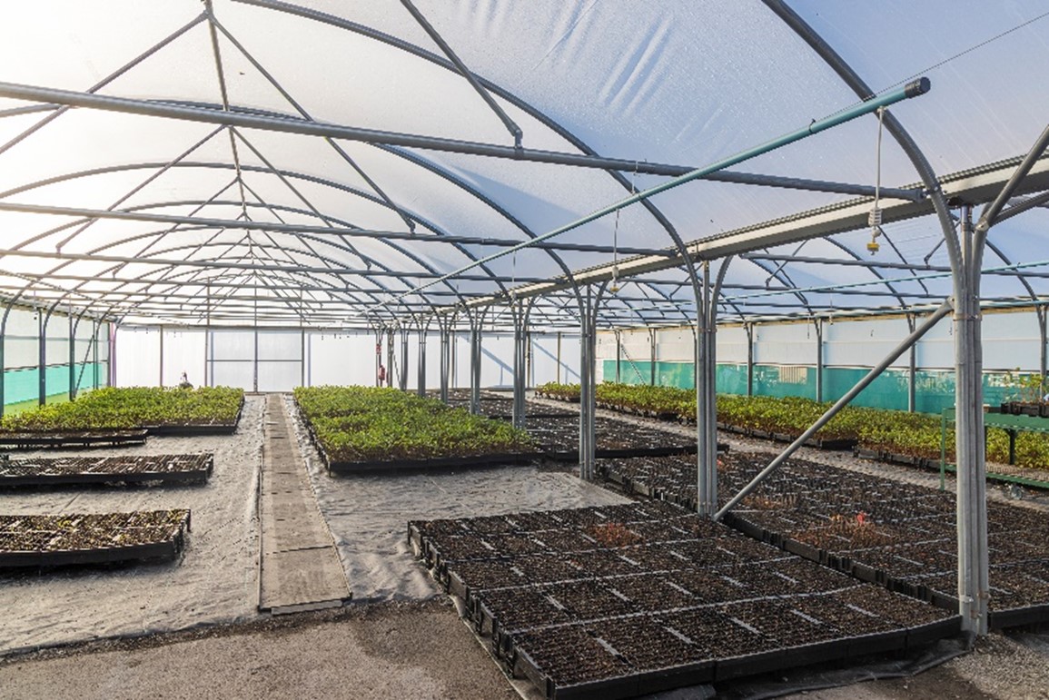Forests with Impact: growing trees, changing lives – Forestry Commission
