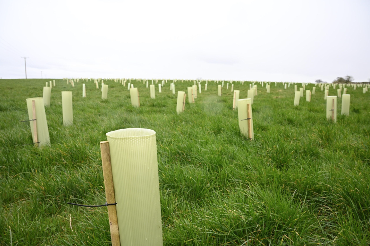 Diversifying land use with timber production at the Lowther Estate ...