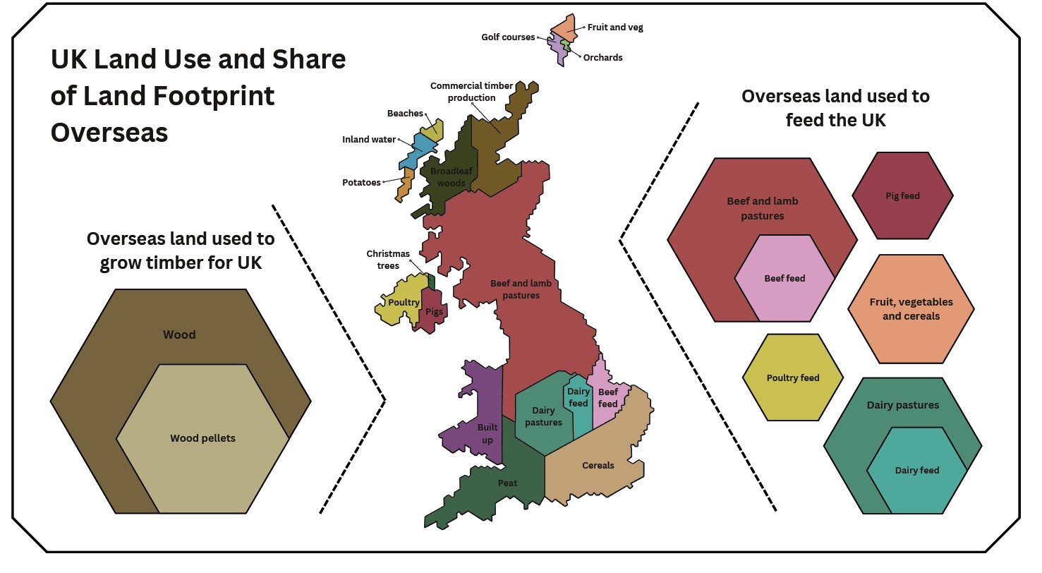 To plant, or not to plant, that is the tree question – Forestry Commission