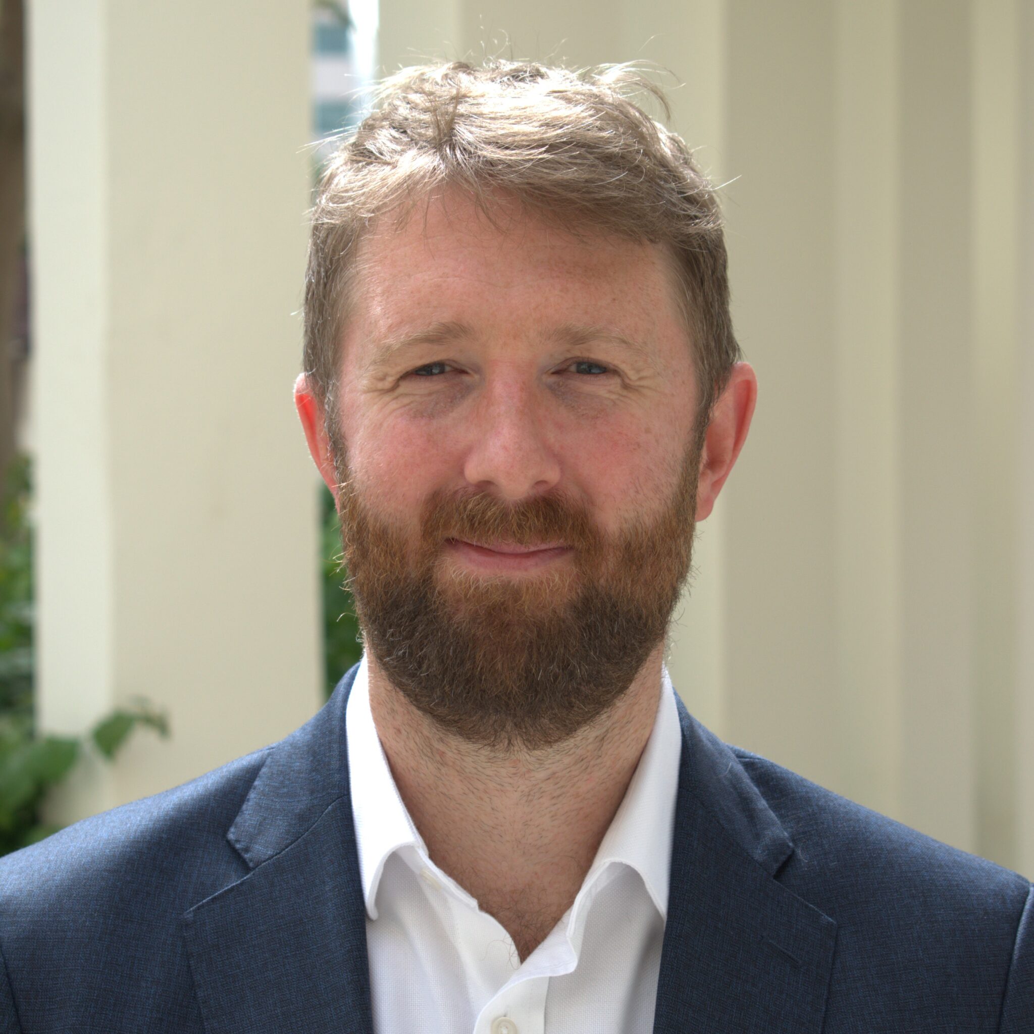 A year of growth: tree planting rates hit their highest level in over ...