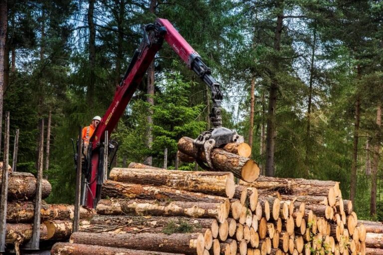 The role of timber in sustainable woodland management – Forestry Commission