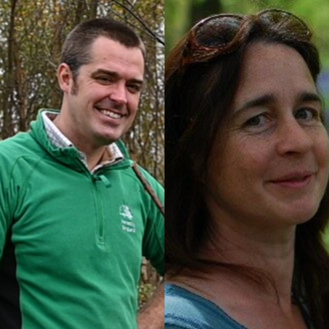 The role of timber in sustainable woodland management – Forestry Commission