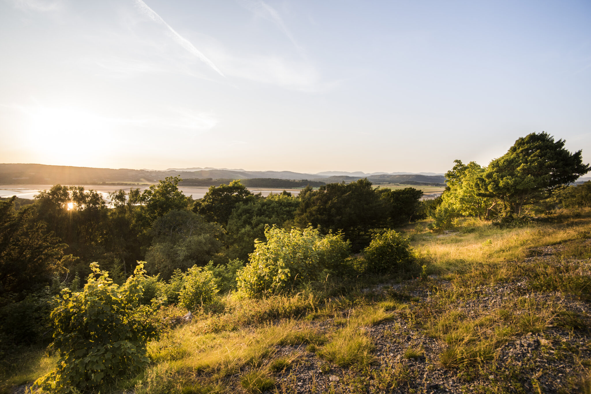 Nature’s hidden havens: rides, edges and glades – Forestry Commission