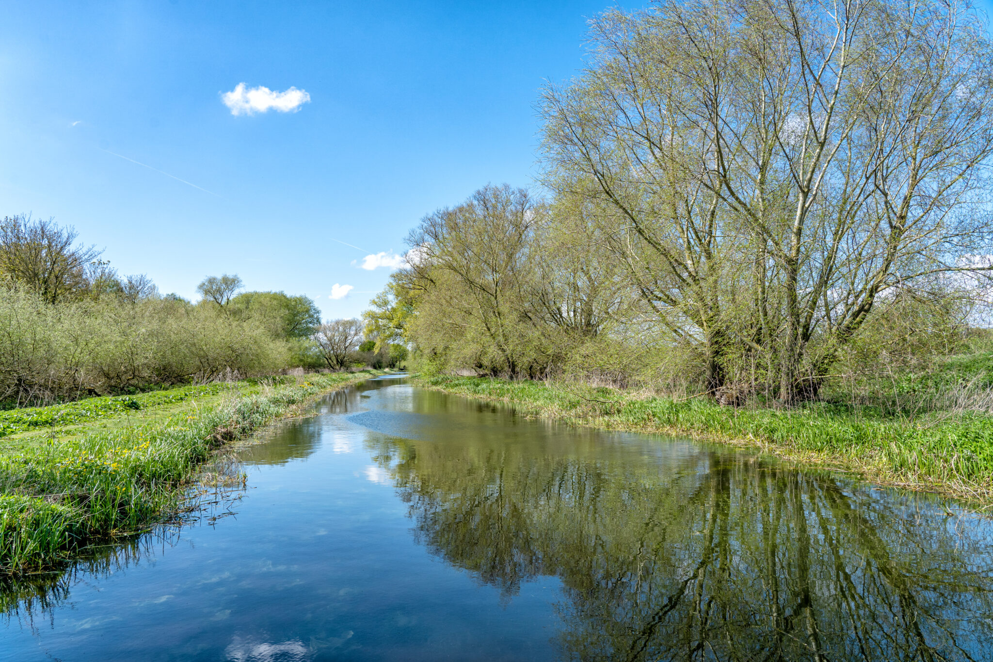 Forestry Commission – News and updates from the Forestry Commission