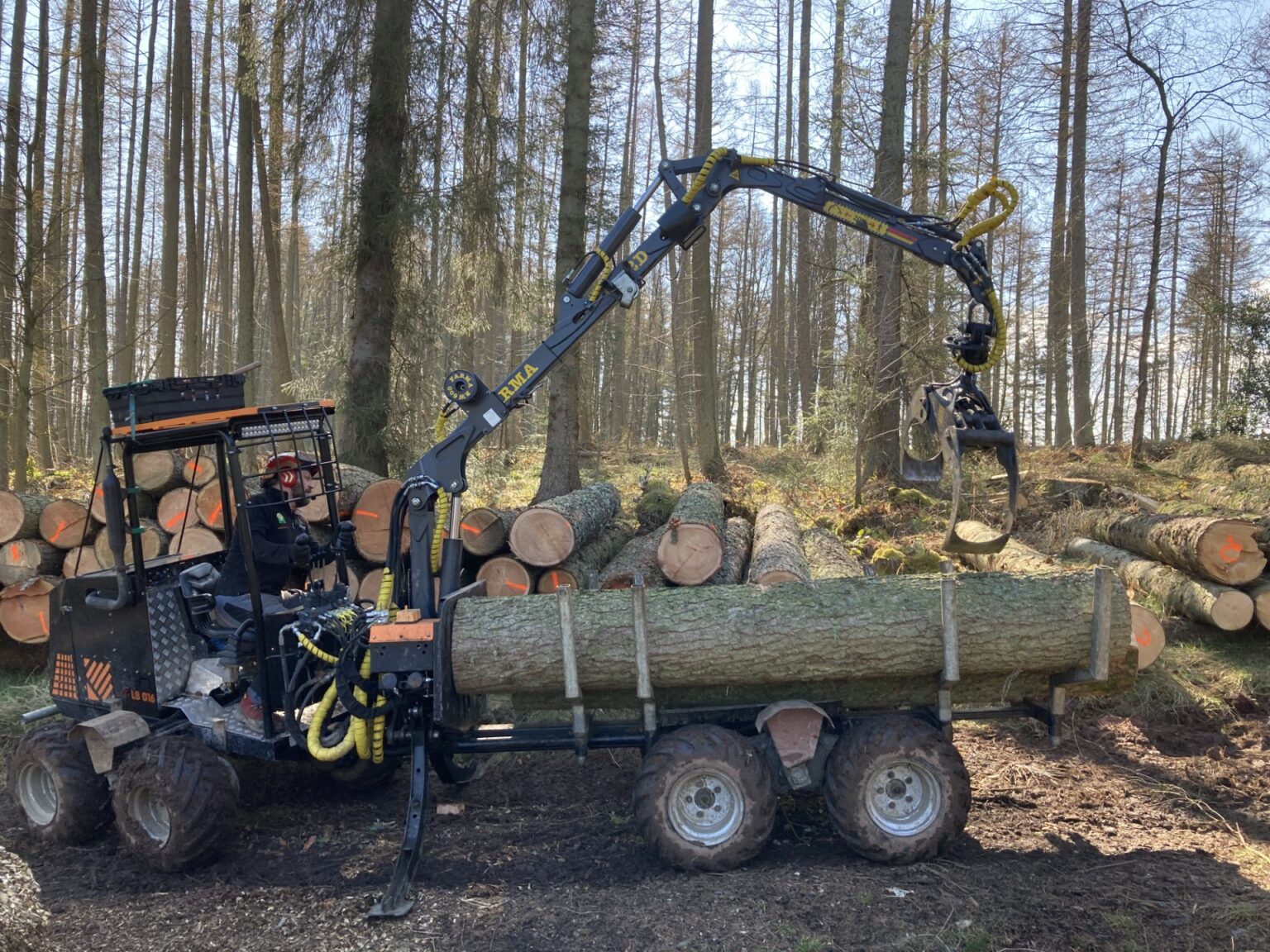2025 – Forestry Commission