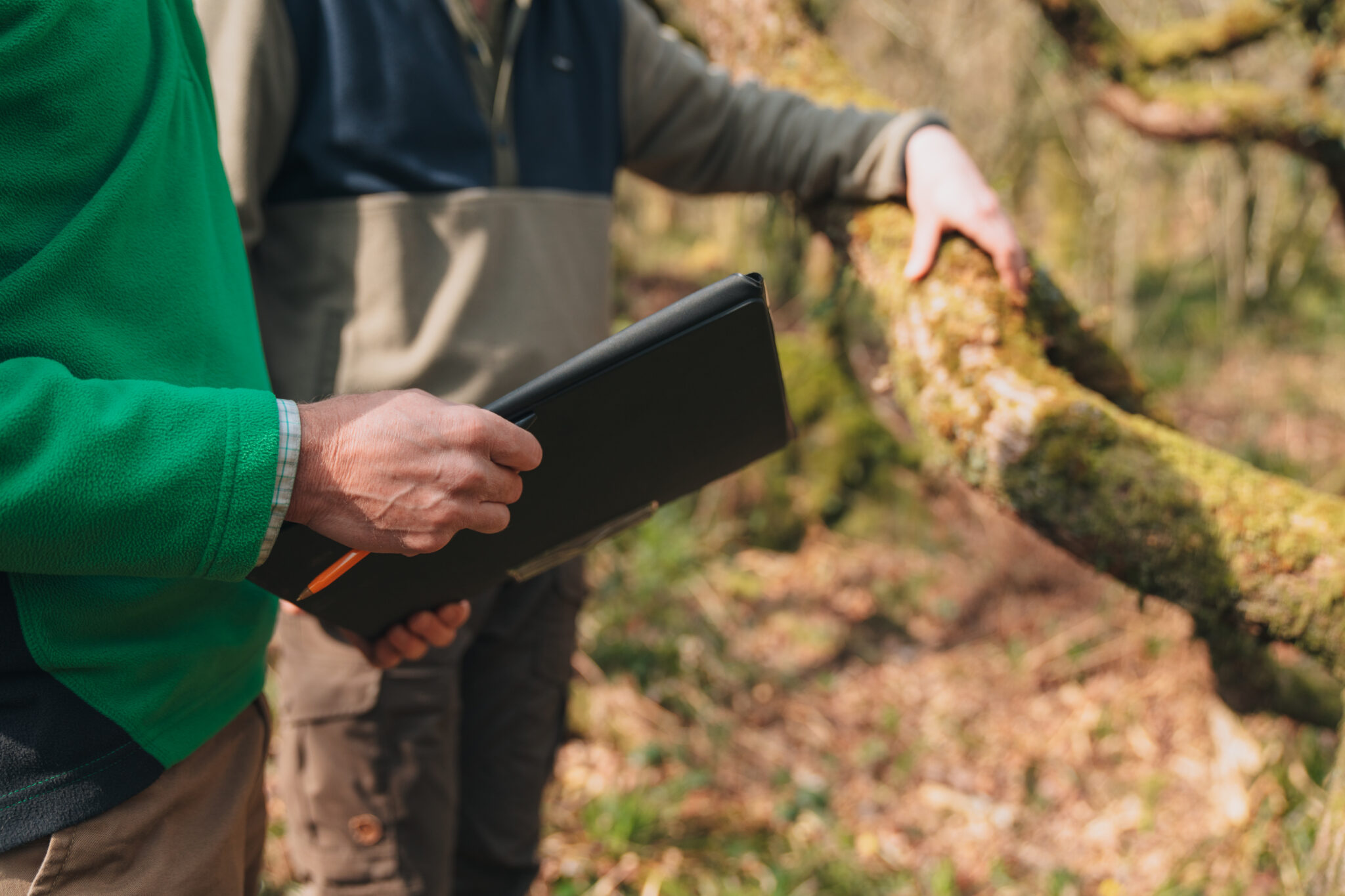 funding – Forestry Commission