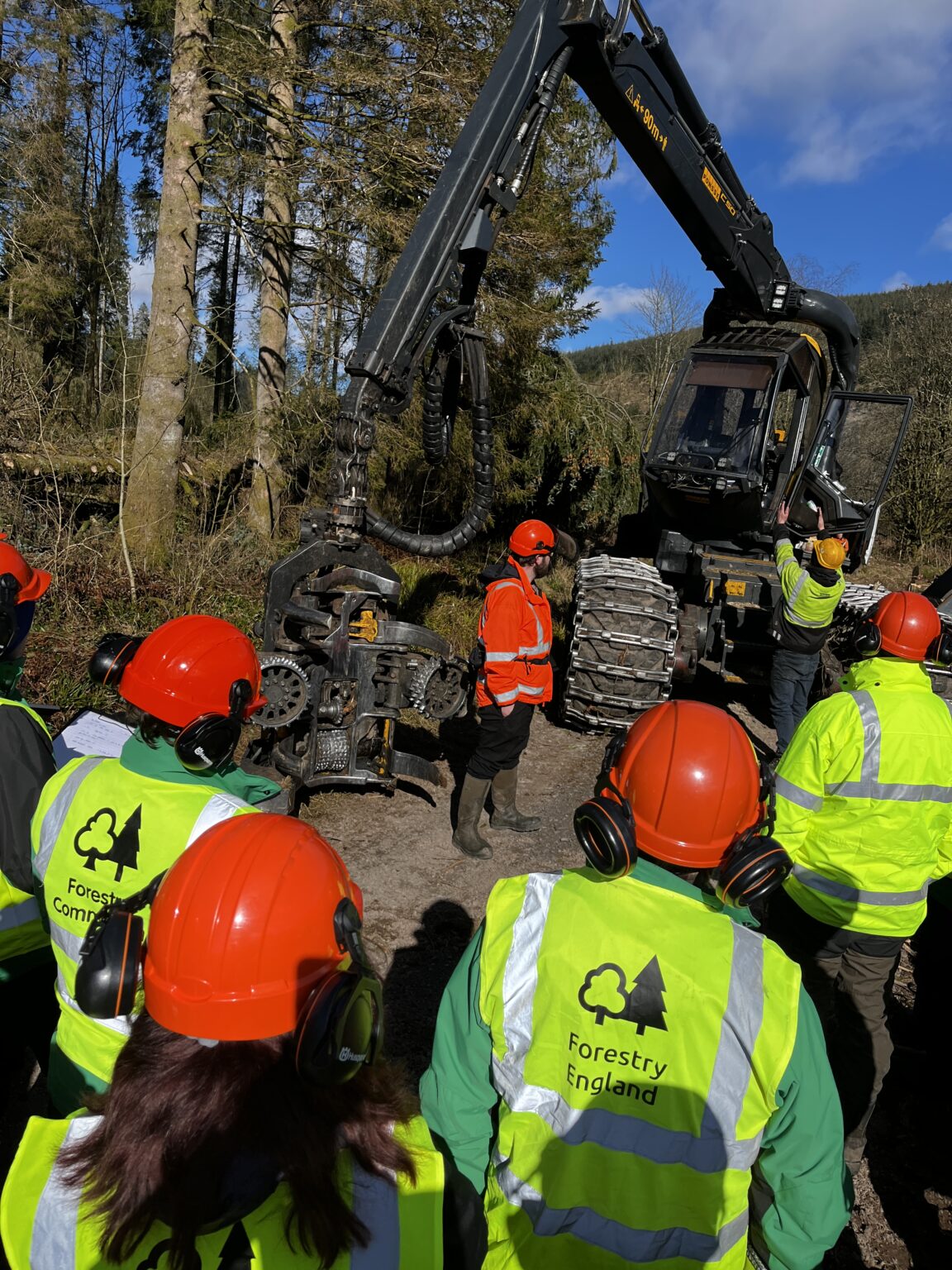 From apprentice to forester: a pioneering cohort’s journey – Forestry ...