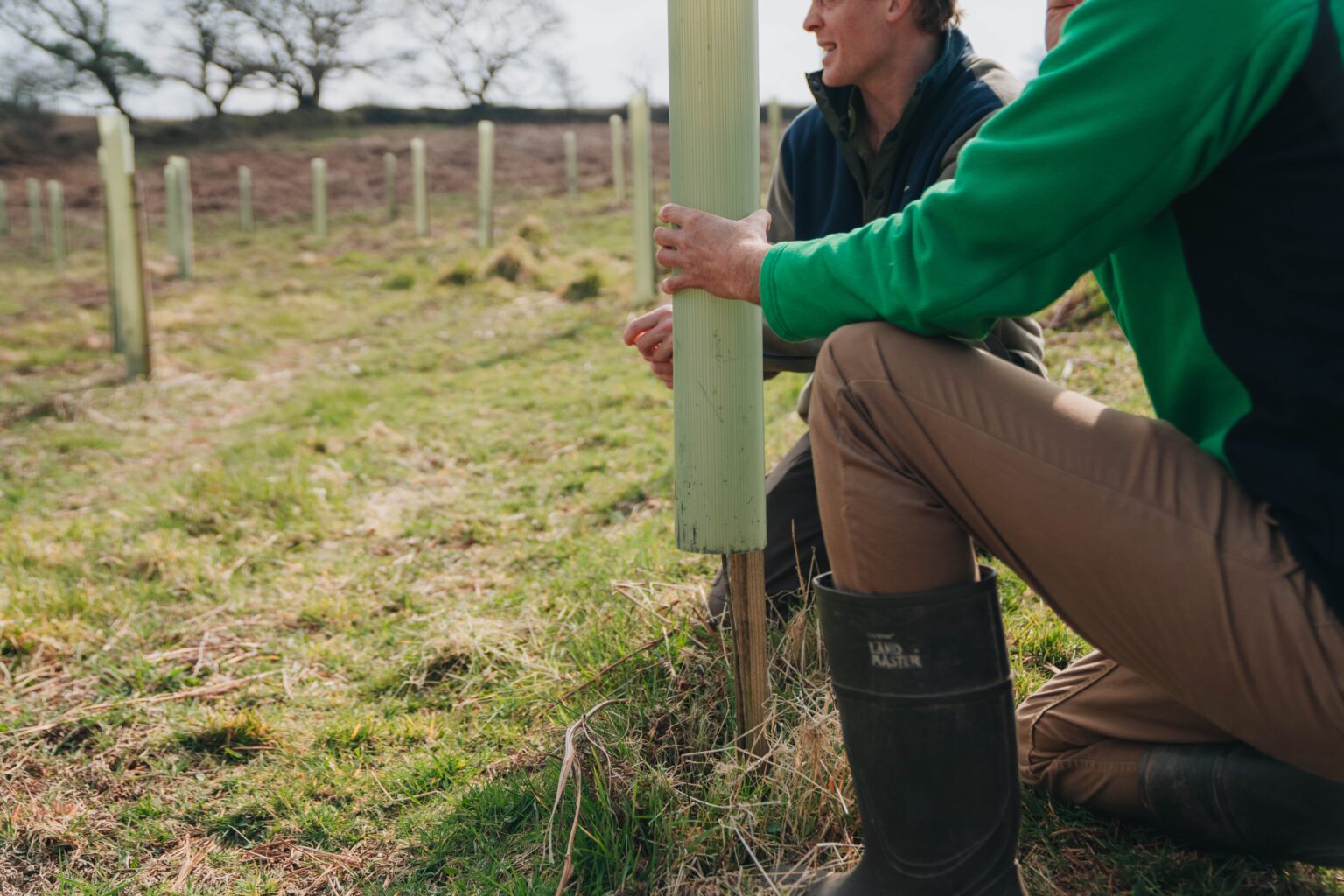 8 top tips for successful woodland establishment this winter – Forestry ...