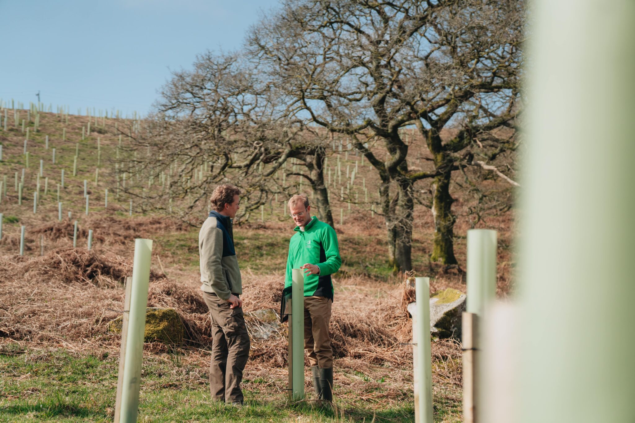 8 top tips for successful woodland establishment this winter – Forestry ...