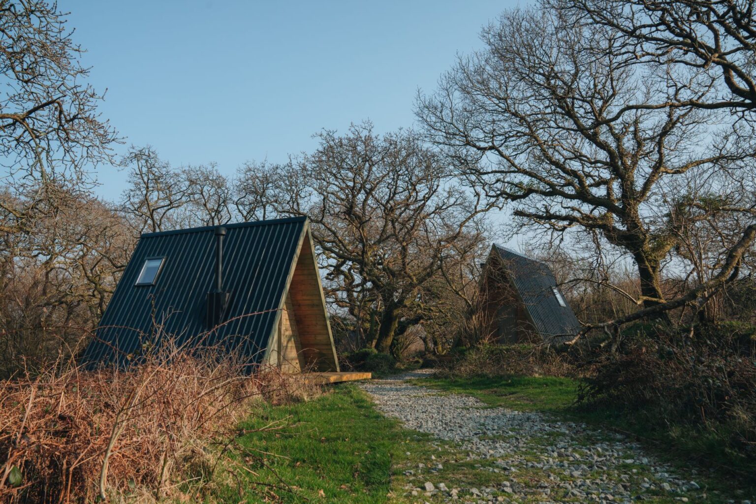 Unearthing the leisure and tourism potential of our woodlands ...