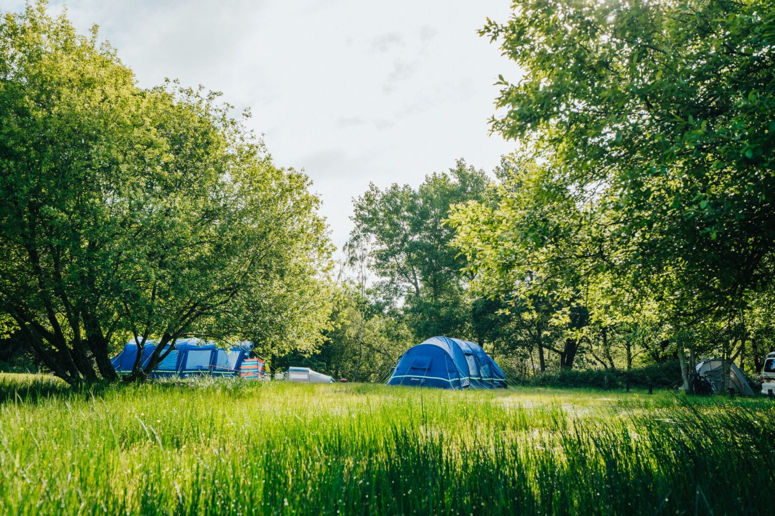 Unearthing the leisure and tourism potential of our woodlands ...