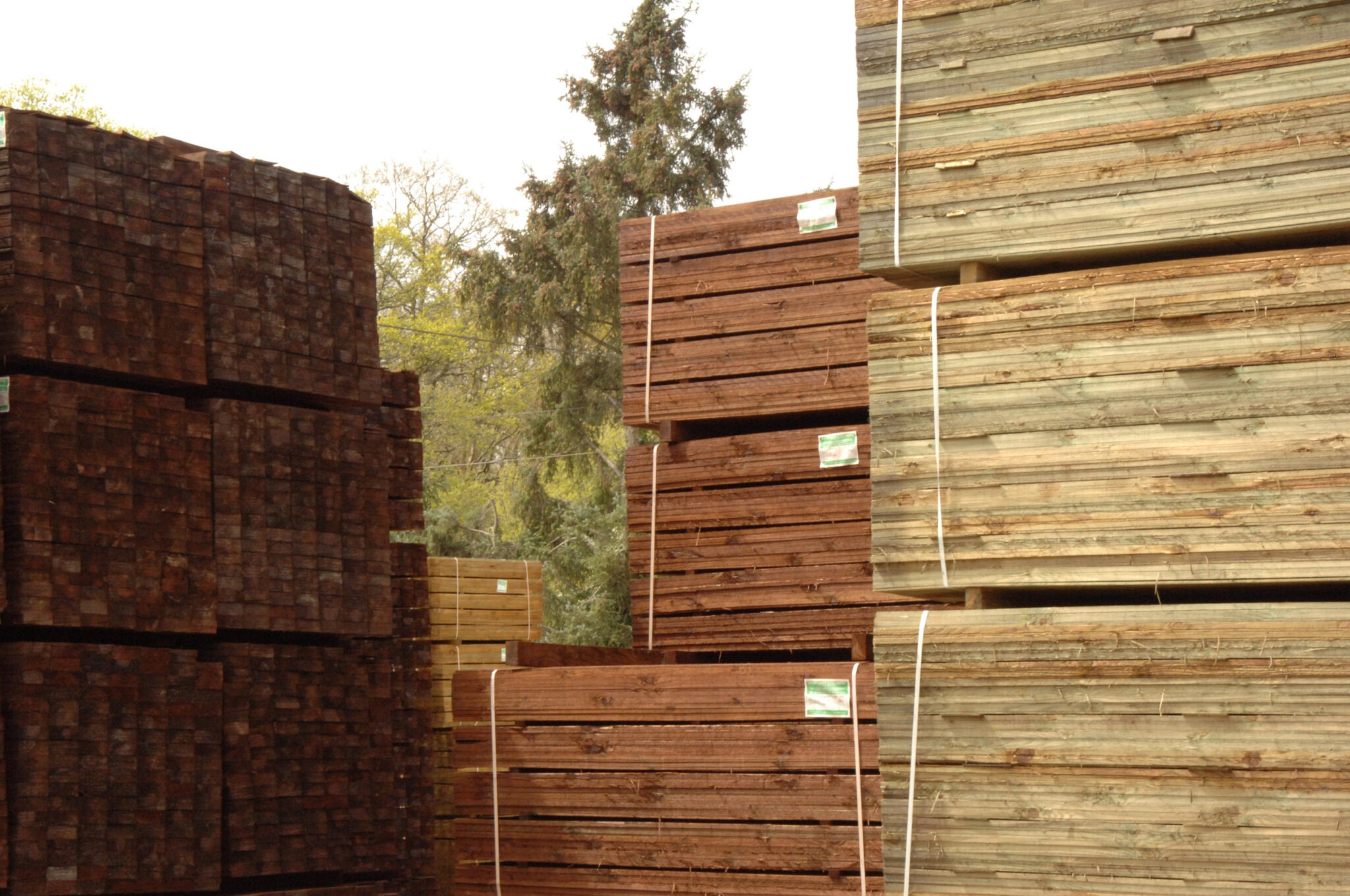 Making the most of your trees: discover the medium-value timber ...