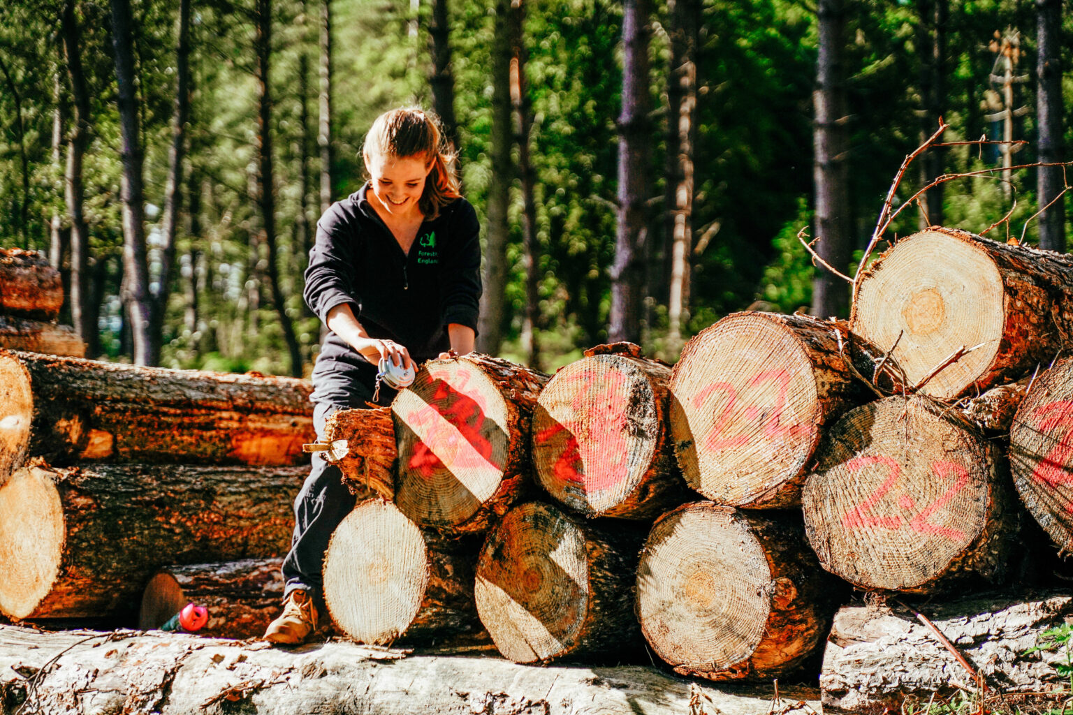 Forests and the economy: supporting jobs, livelihoods and wellbeing ...