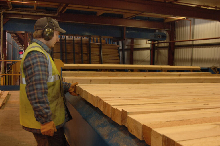 Unlocking the value of your woodland: high-value markets for timber ...